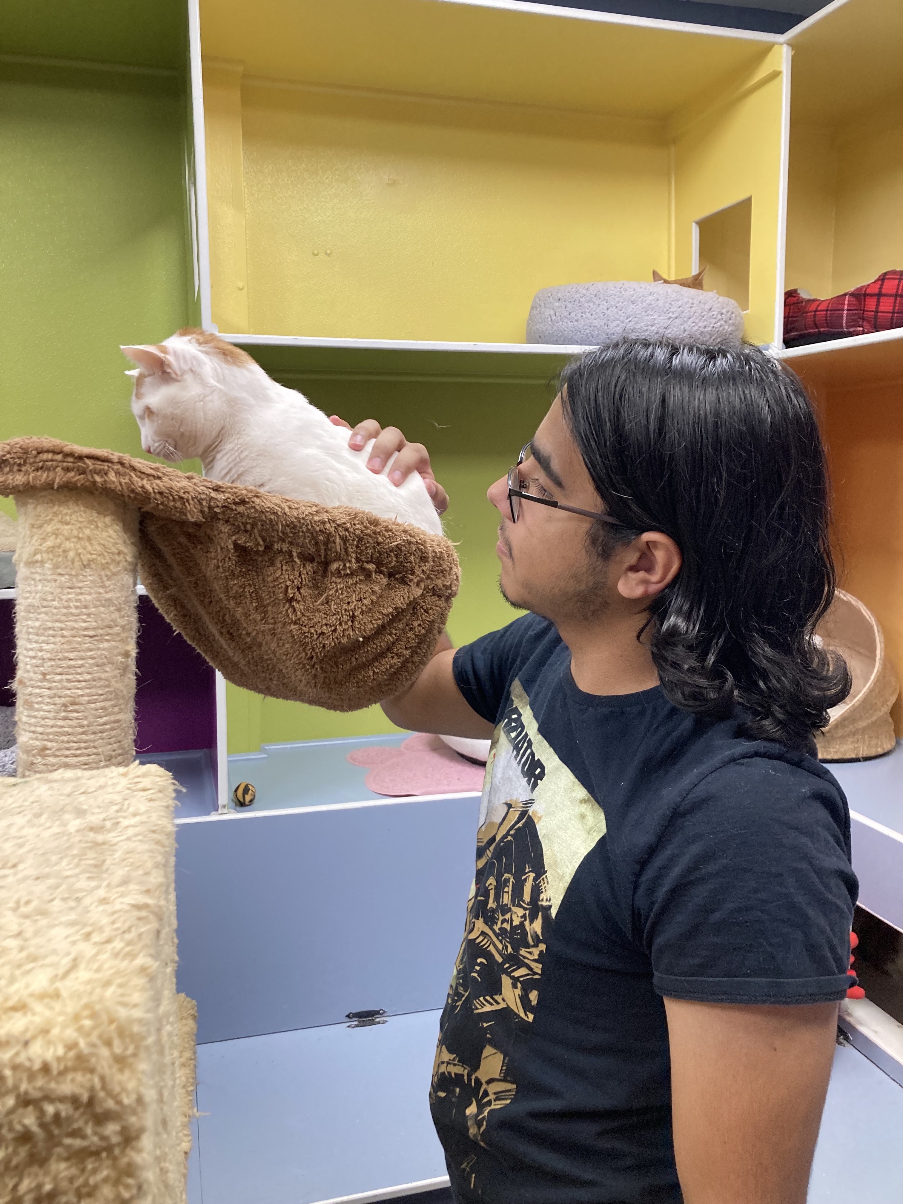 Interns Gain Job Skills Caring for Furry Friends in New Jersey - JEVS ...