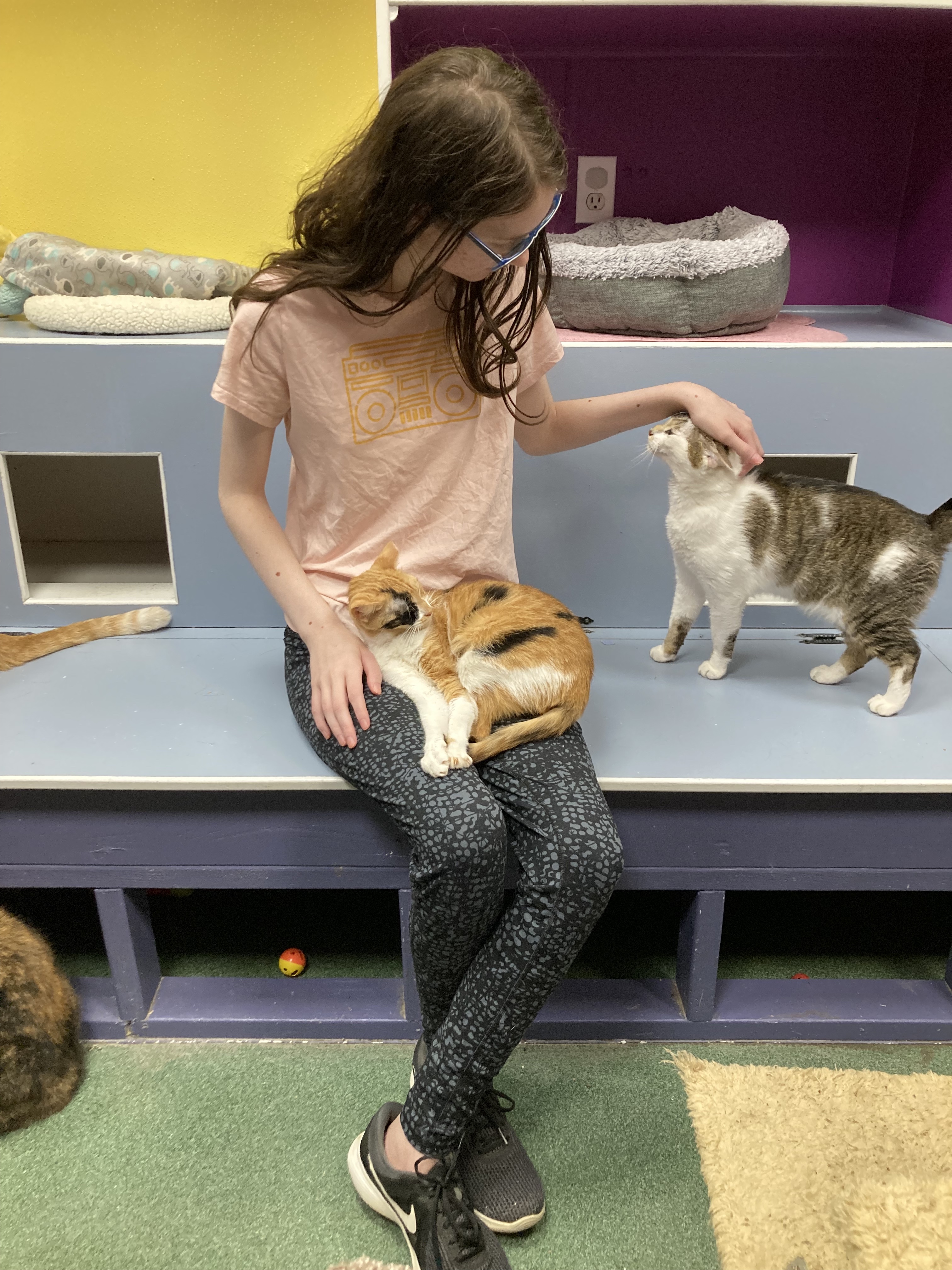 Interns Gain Job Skills Caring for Furry Friends in New Jersey - JEVS ...
