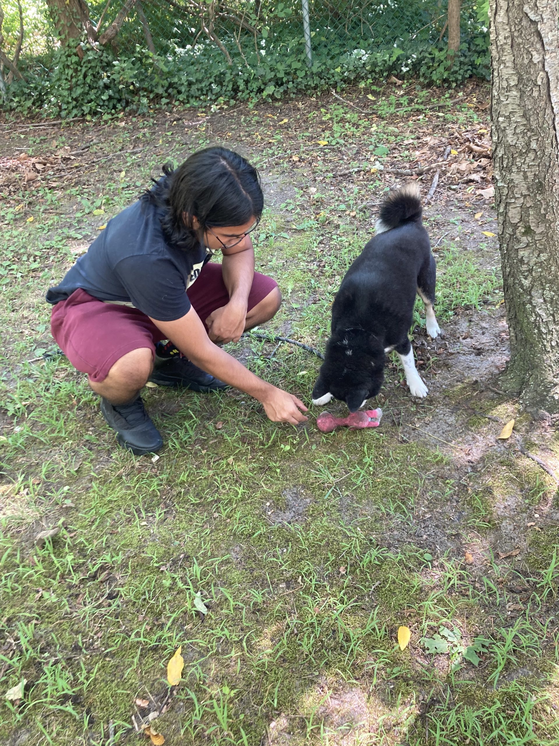 Interns Gain Job Skills Caring for Furry Friends in New Jersey - JEVS ...